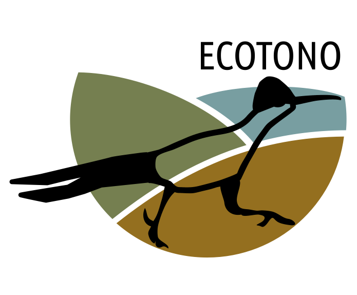 eBird - N-Gen
